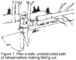 NASD: Chain Saw Safety