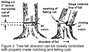 NASD: Chain Saw Safety